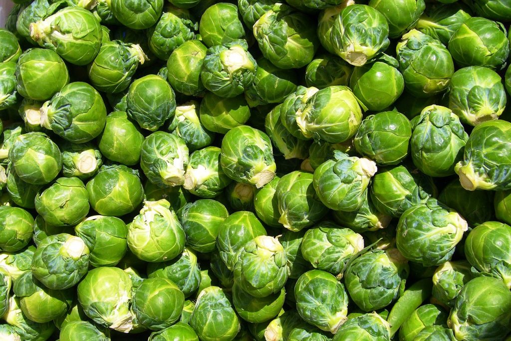 Zijn spruitjes gezond? - Dieet Universiteit